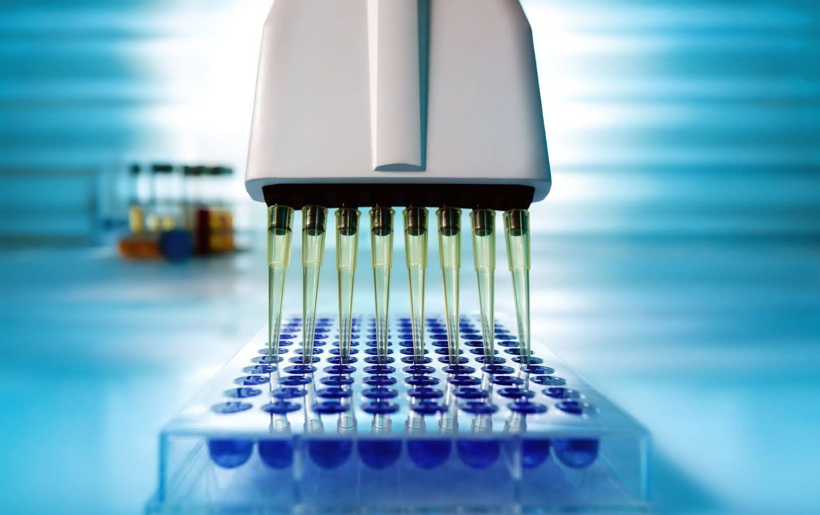 How to design primers and probes for PCR and qPCR | IDT