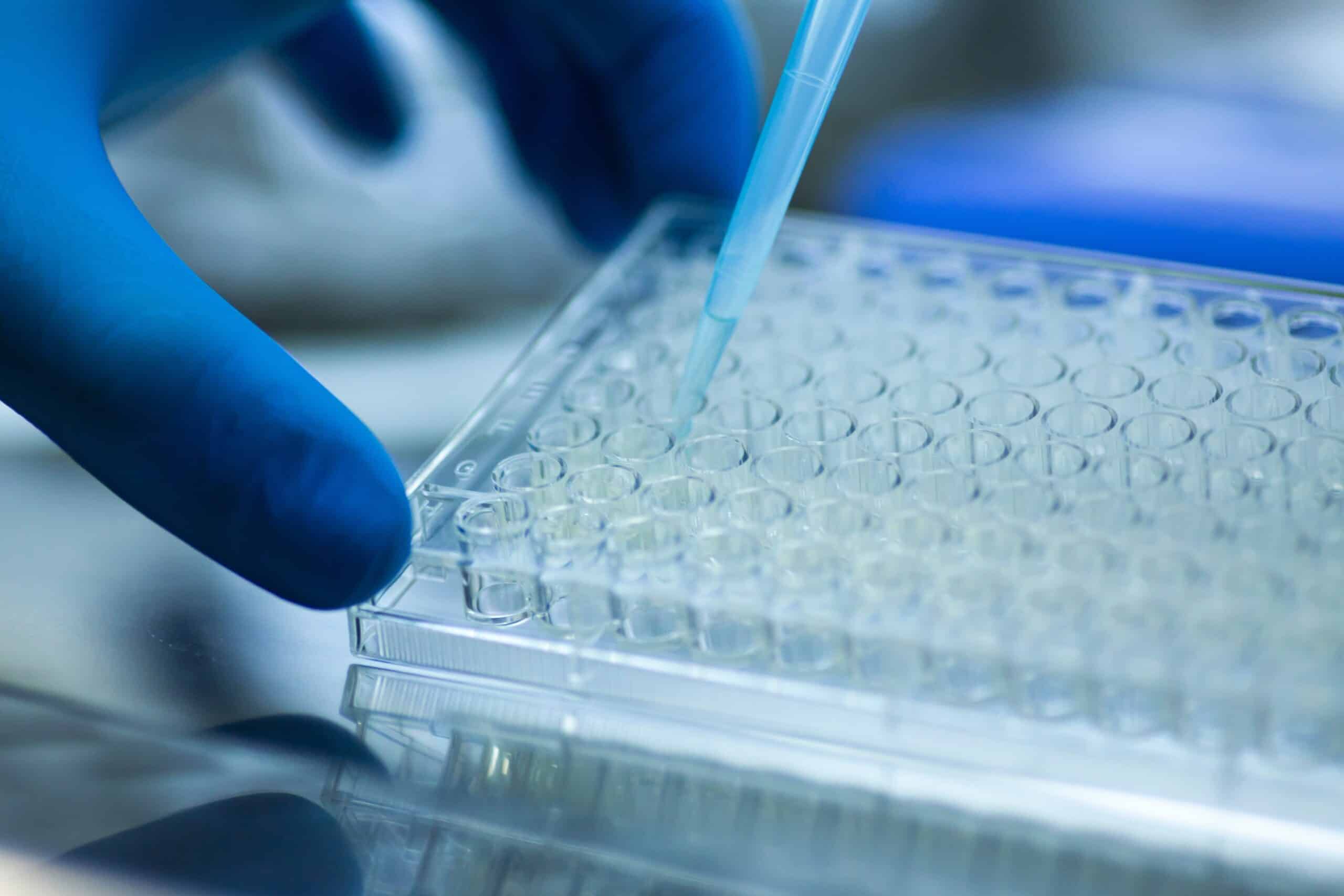 Full Template Test - IDT